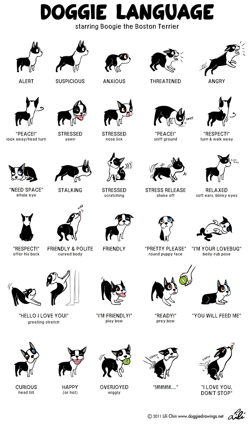 Decoding Canine Body Language With Funny Dog Drawings