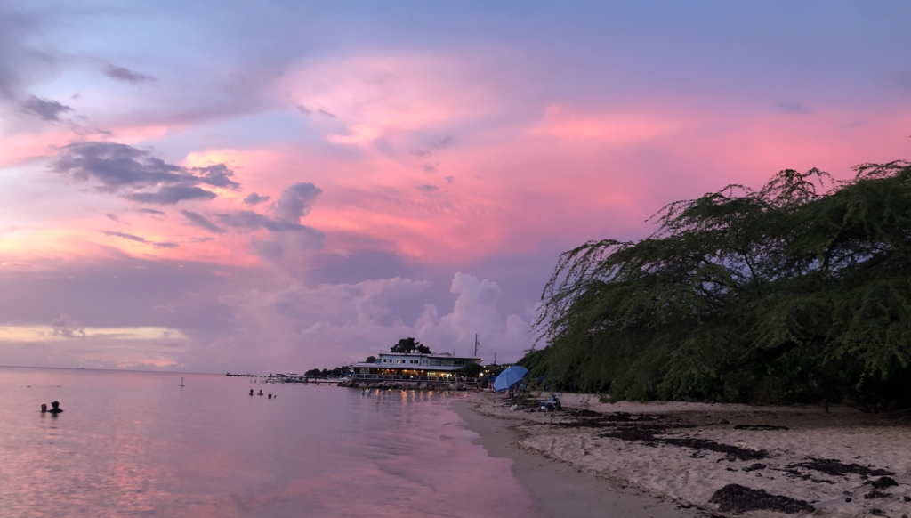 What About Good Returns? [SSL 281] - Lisa Colón DeLay | Spark My Muse